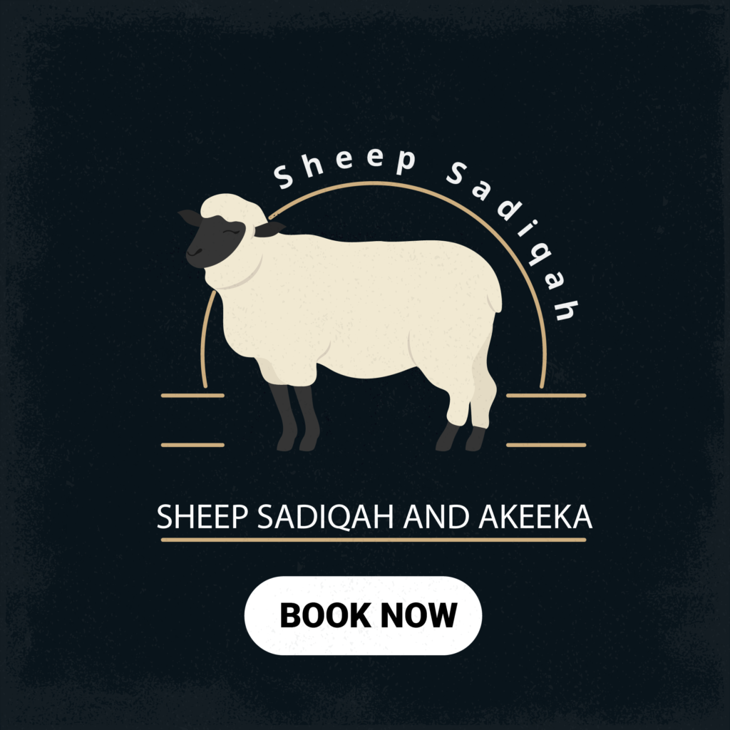 Products - Ghazee Offal Supply